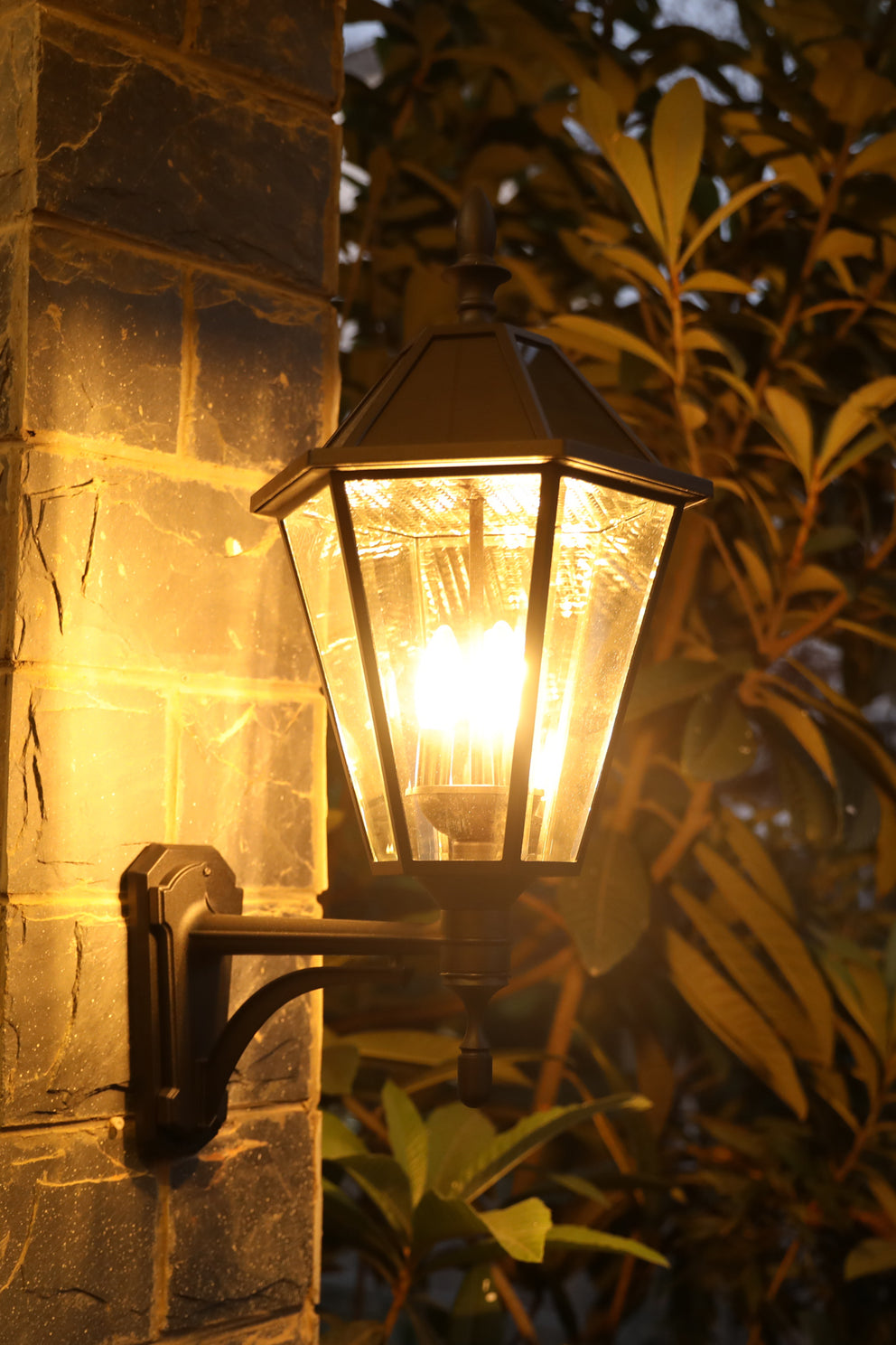 Lutec Lighting Fixtures | Lutec Official Store – LUTEC