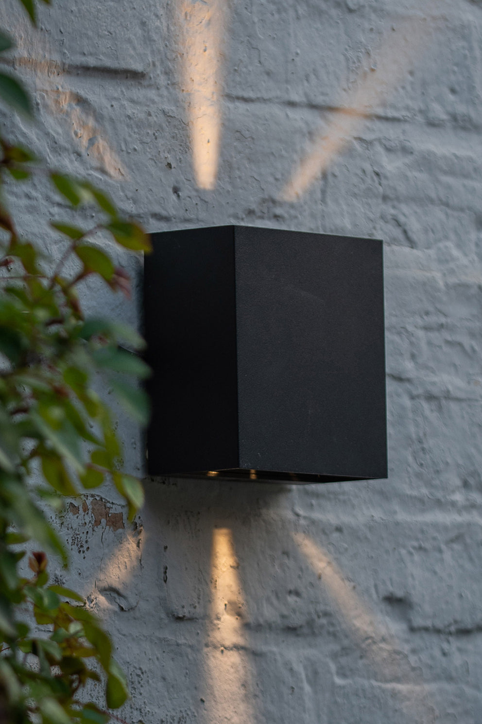 Lutec LED Wall Lights - Red Dot Design Award winners – LUTEC